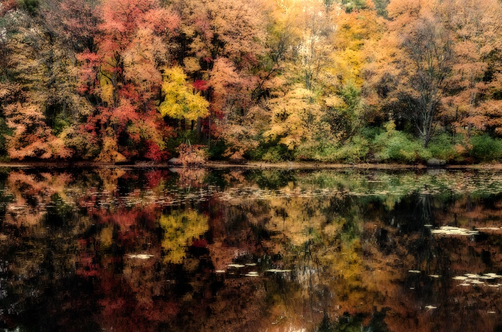 New England Fall Colors | Daily prayers and meditations