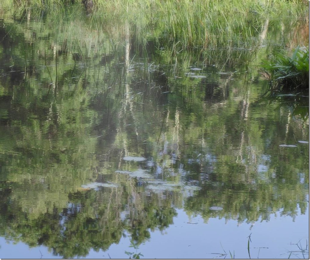 Reflection of the Day | Daily prayers and meditations