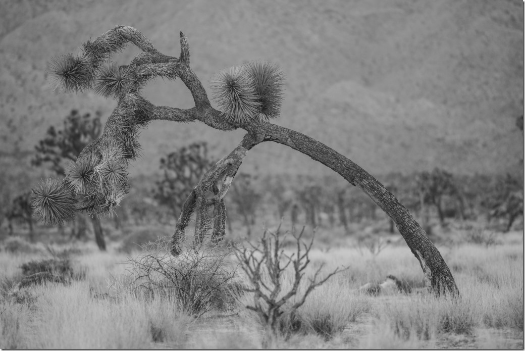 Bending Over Backwards | Daily prayers and meditations